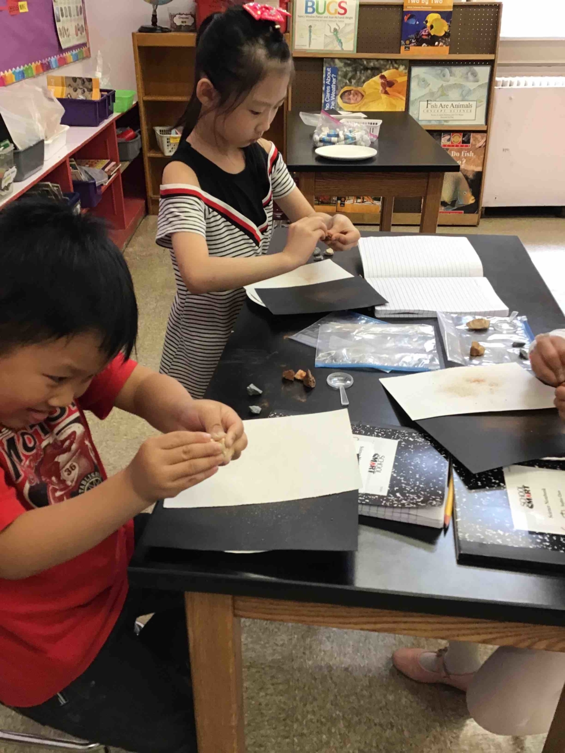 Science – PS42M – The Benjamin Altman School