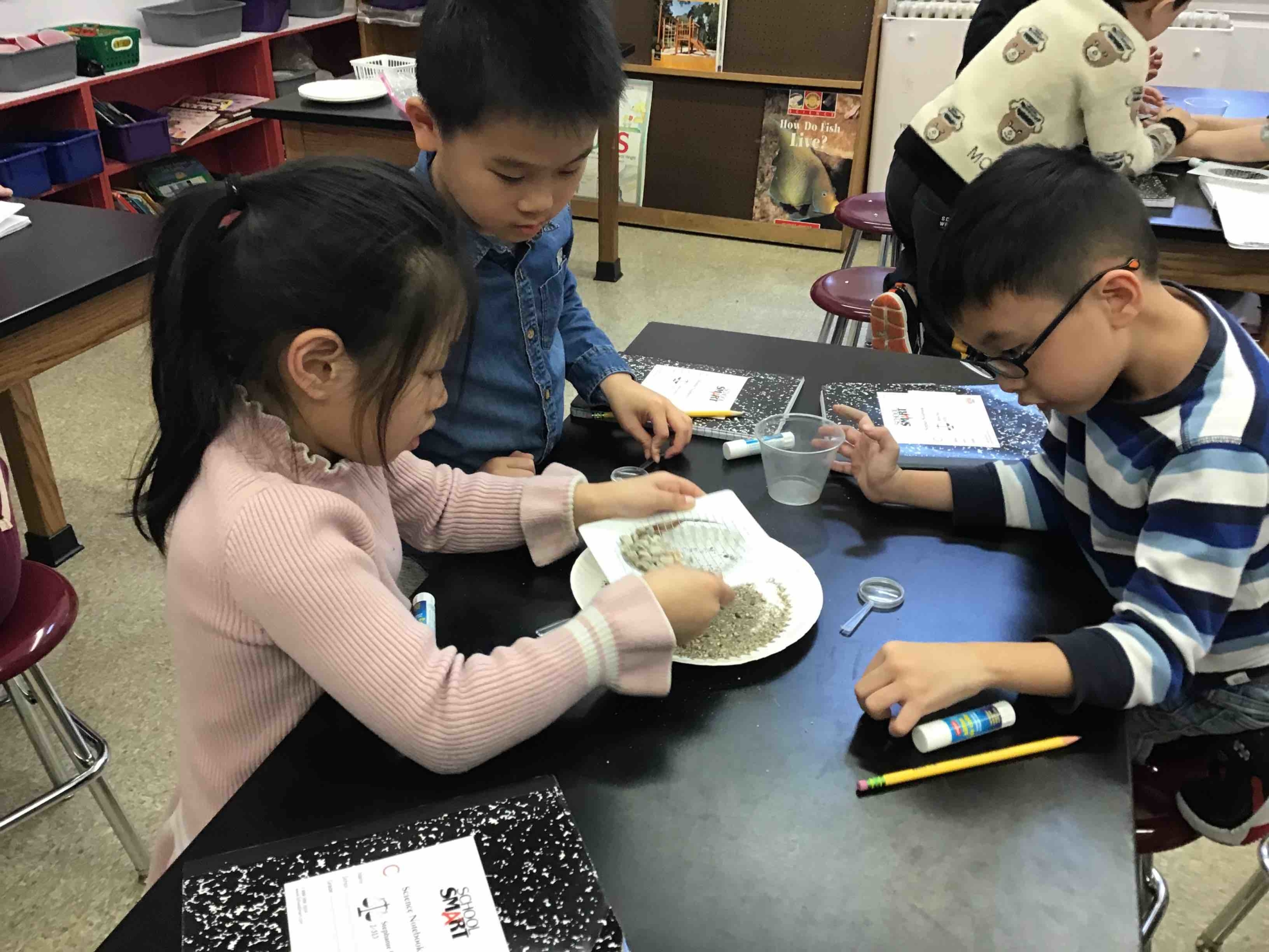 Science – PS42M – The Benjamin Altman School