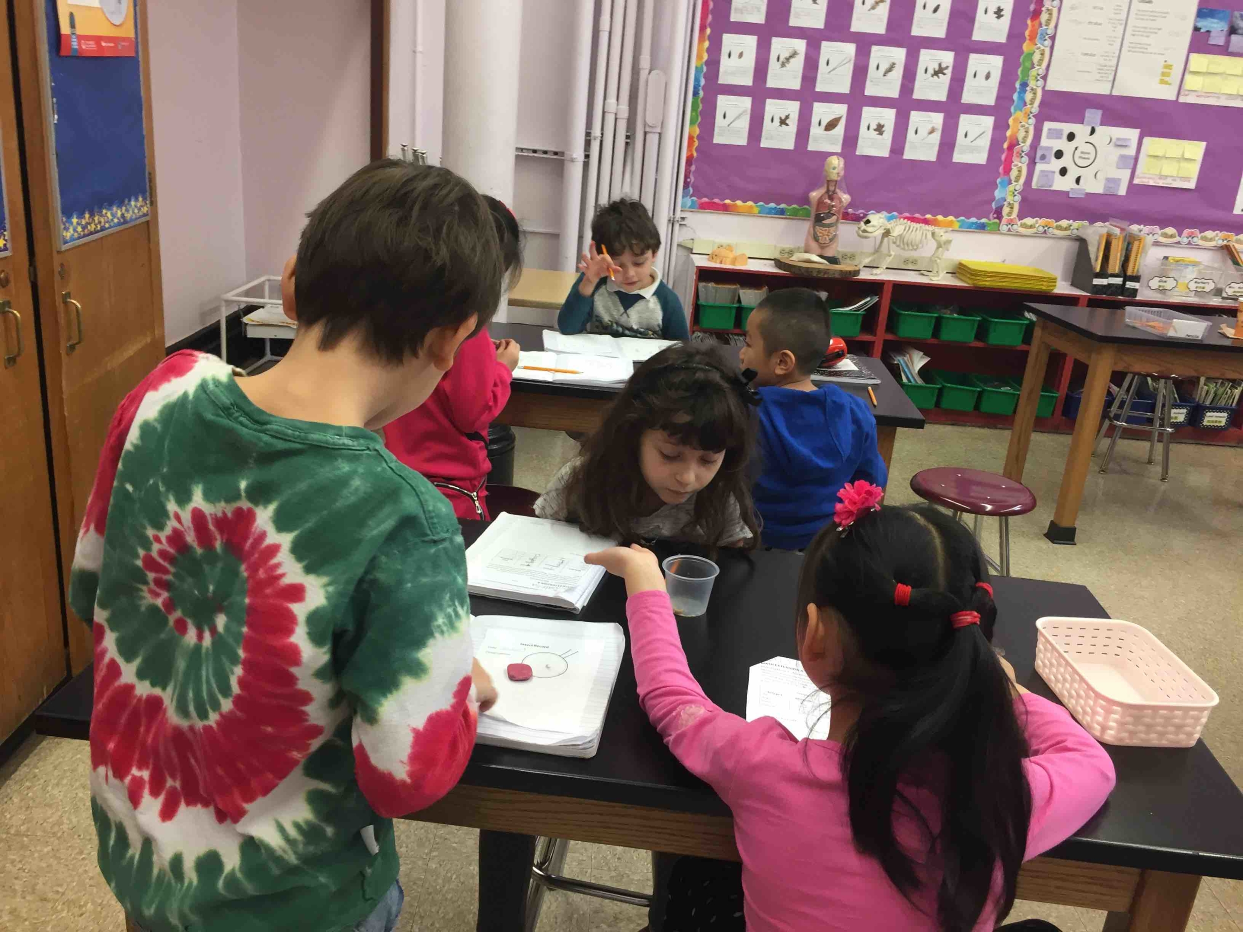 Science – PS42M – The Benjamin Altman School